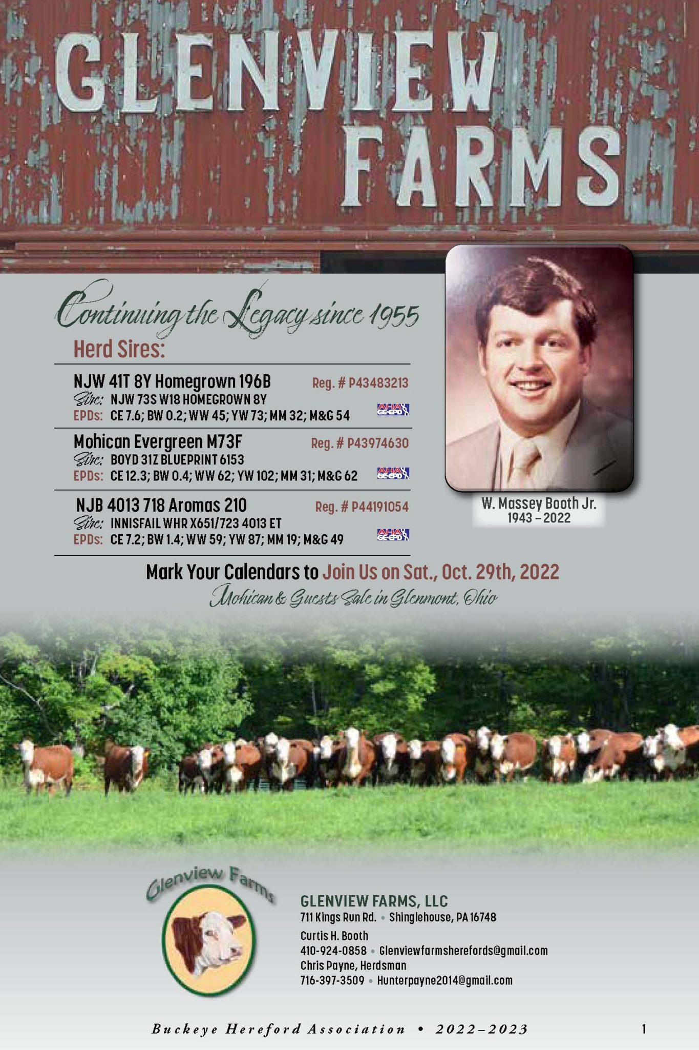 Fall Sale – Buckeye